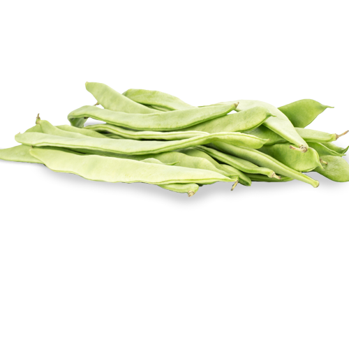 Haricot plat romano surgelé